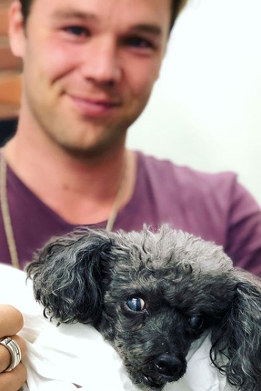 Lincoln Lewis confirms his dog has died | WHO