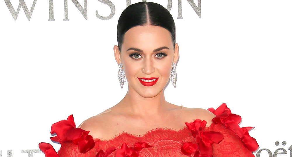 Katy Perry shares very cheeky snap during French vacation with Orlando ...