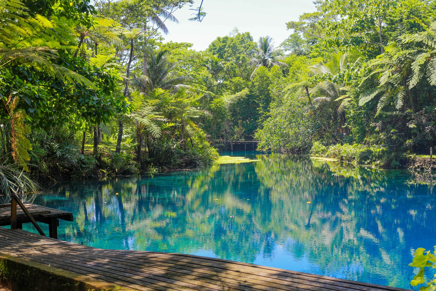 The Ultimate Vanuatu Travel Guide: Accommodation, Activities, and More ...